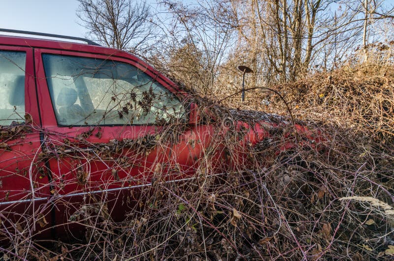 Red overgrown car stock image. Image of facility, drive - 92188345