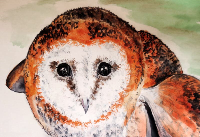 Red Owl Barn Owl, Watercolor Stock Illustration - Illustration of ...