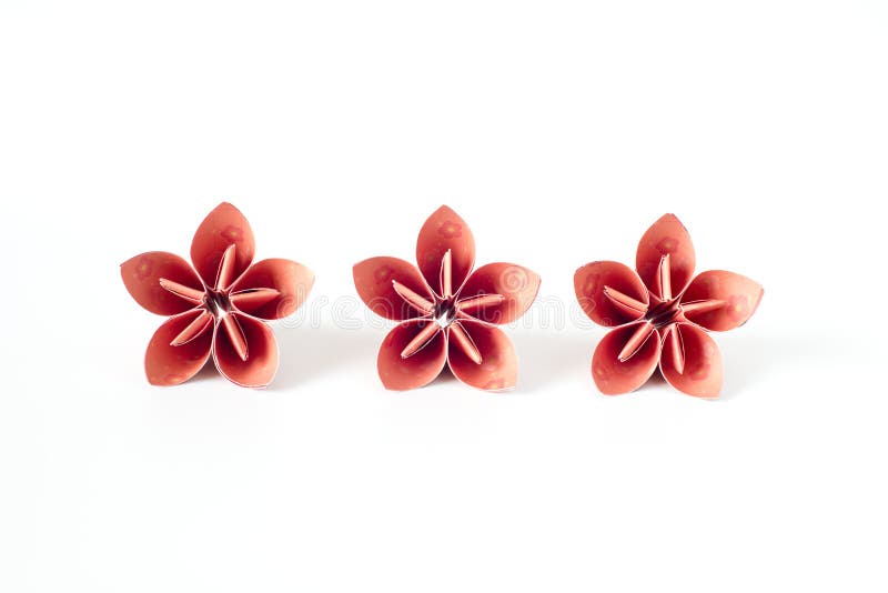 Red Packets Origami Flowers Stock Photo - Image of origami, blooming ...