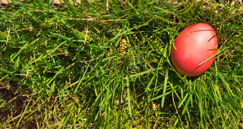 A Red Painted Easter Egg on a Fresh Spring Meadow in Bright Sunlight ...