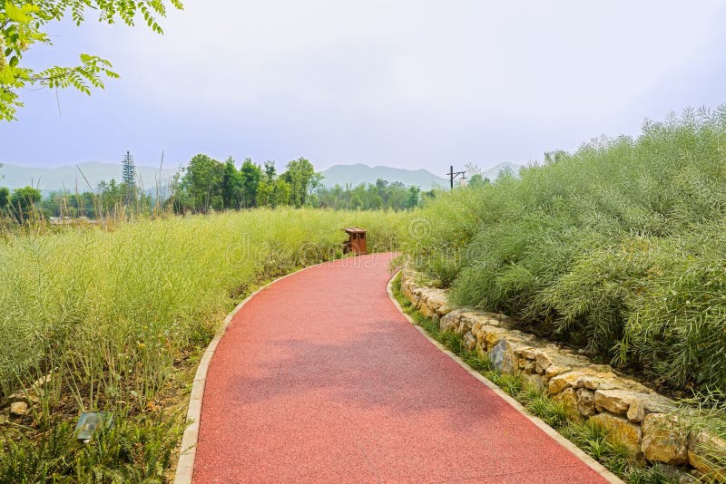 Path on Hillside Meadow in Mountain at Sunset Stock Photo - Image of ...