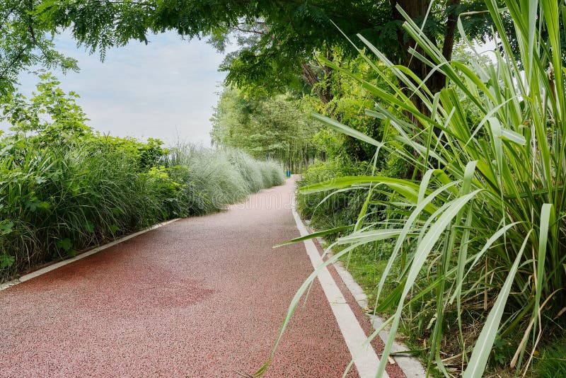 Red-painted Path in Plants and Trees on Cloudy Summer Day Stock Image ...