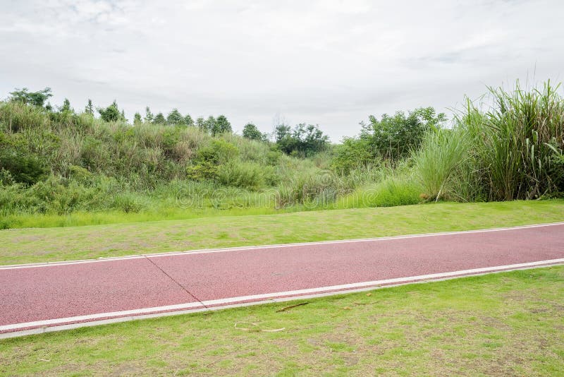 Red-painted Path in Wild on Cloudy Summer Day after Rain Stock Image ...