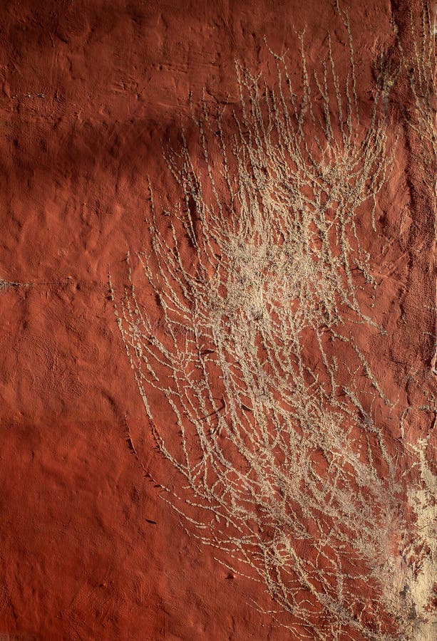 Red Stucco Wall with Plant Relief Stock Image - Image of architecture ...