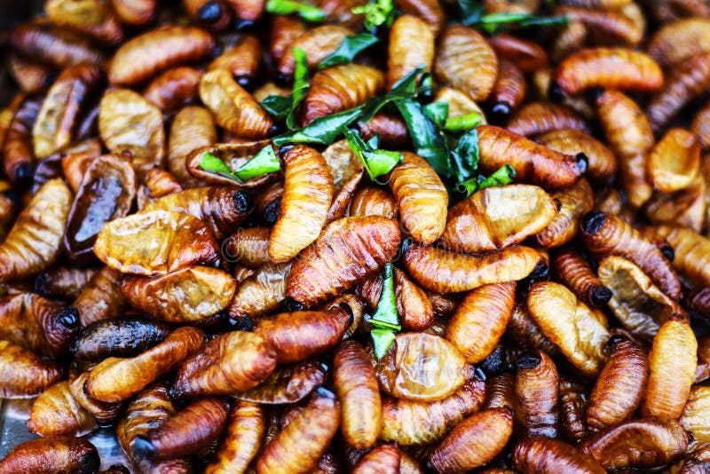 Red Palm Weevil ,sago Worm Fried Stock Photo - Image of small, meat ...