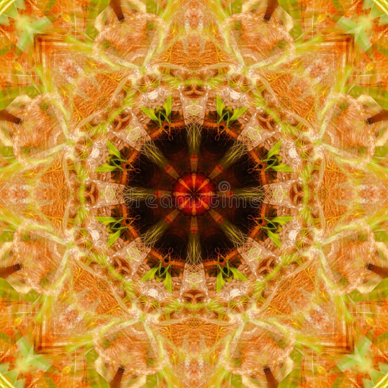 Red panda abstract 4 stock image. Image of texture, friss - 80759633