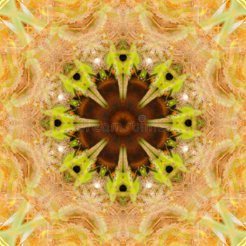 Red panda abstract 3 stock photo. Image of square, asia - 80760218