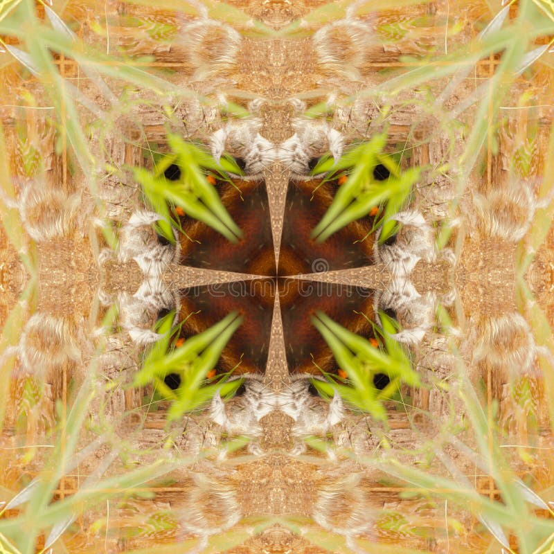 Red panda abstract 1 stock photo. Image of abstract, theme - 80760576