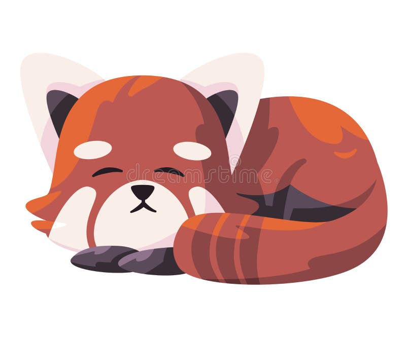 Red Panda Ailurus Fulgens Cute Animal Sleeping Native from China Stock ...