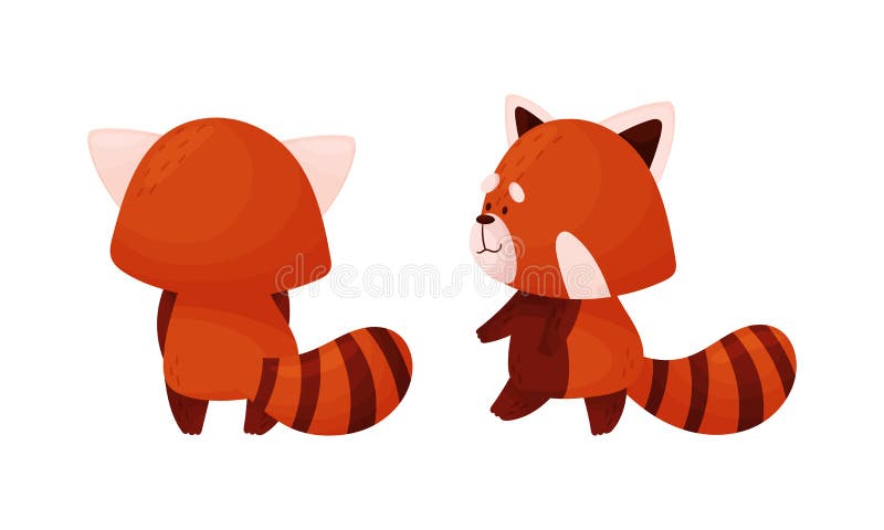 Red Panda in Different Actions Set. Cute Wild Animal Character, Side ...