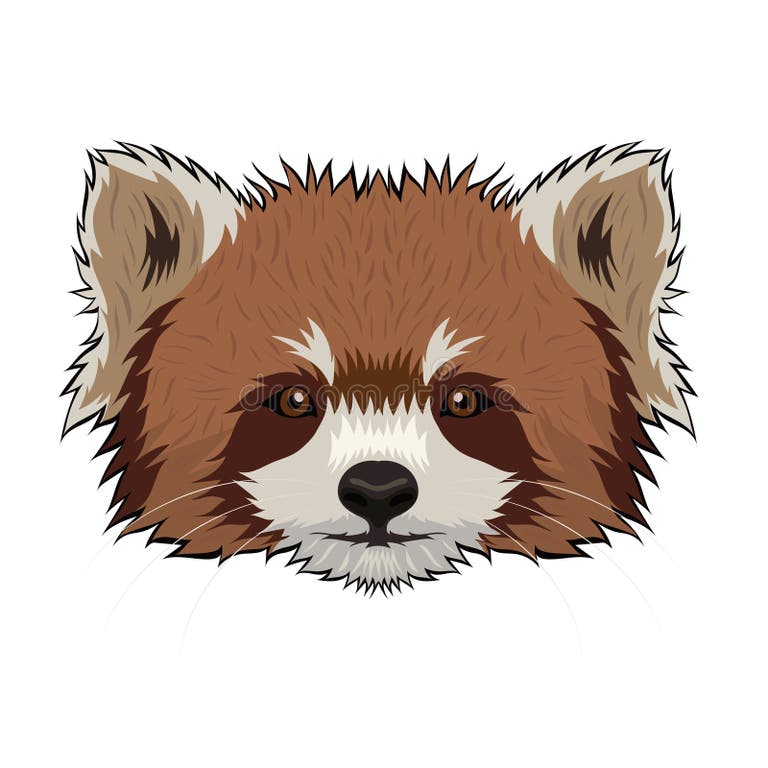 Red Panda Vector Stock Illustrations – 5,402 Red Panda Vector Stock ...