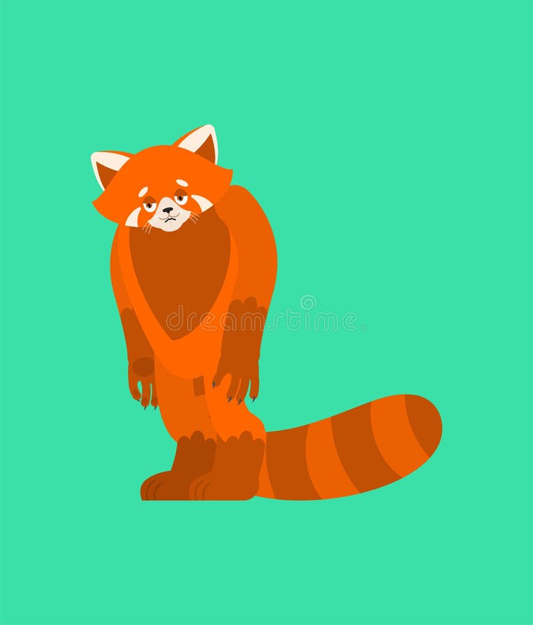 Red Panda Sad. Wild Animal Sorrowful. Beast Dull Stock Vector ...