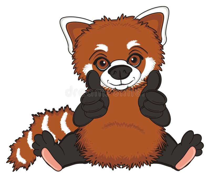 Red panda show gesture stock illustration. Illustration of asia - 86140161