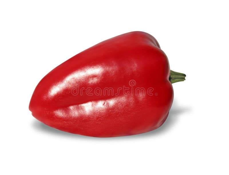 Red Paprika stock photo. Image of paprika, ingredient - 1716560