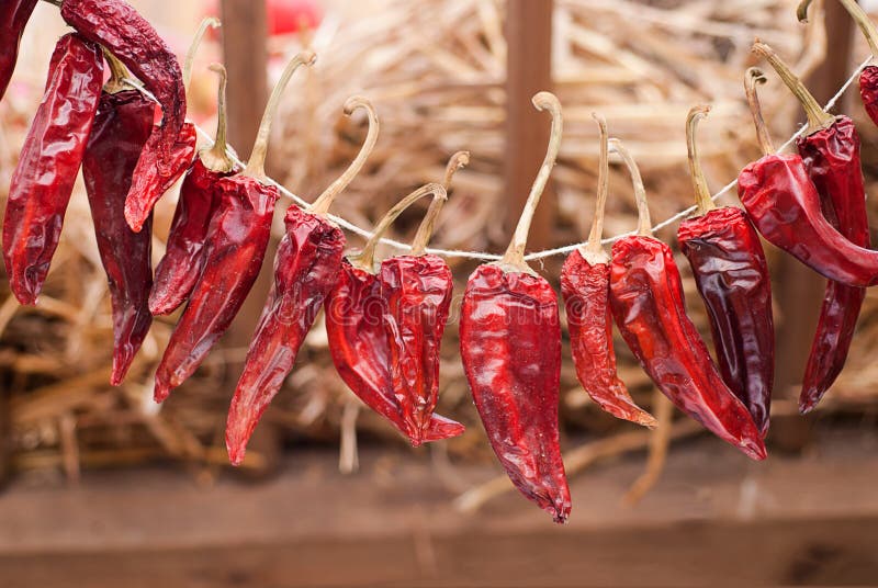 Red paprika stock image. Image of healthy, paprika, chili - 25502887