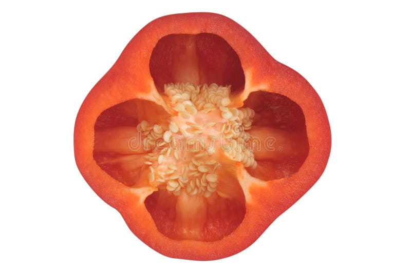 Red paprika cros section stock photo. Image of cross - 12999628