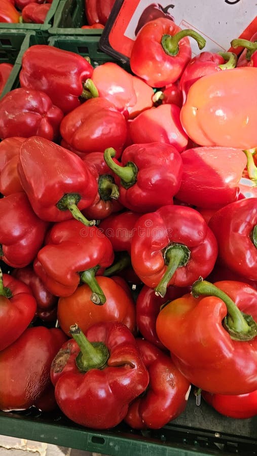 The Red Paprika Look so Fresh Stock Photo - Image of berry, dish: 379375222