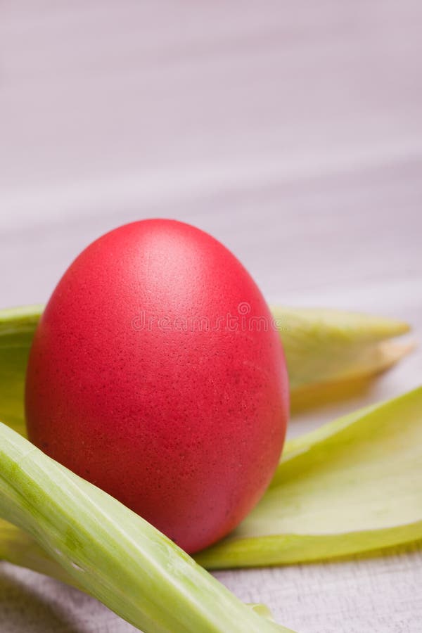 Red Pastel Colored Easter Egg Stock Image - Image of natural, flower ...