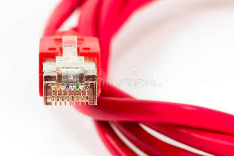 Red Patch Cable with RJ45 Connector Isolated on White Background Stock ...