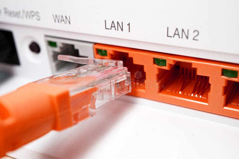Cable Interface With The Ports Of The Broadband Switch, The Front Of ...