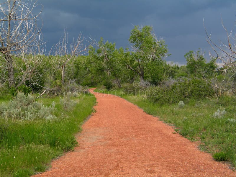 Pathway stock photo. Image of walkway, road, pathway, grass - 3288