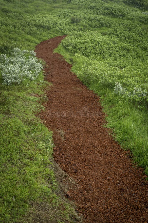 Red path stock photo. Image of beautiful, green, fresh - 47706596