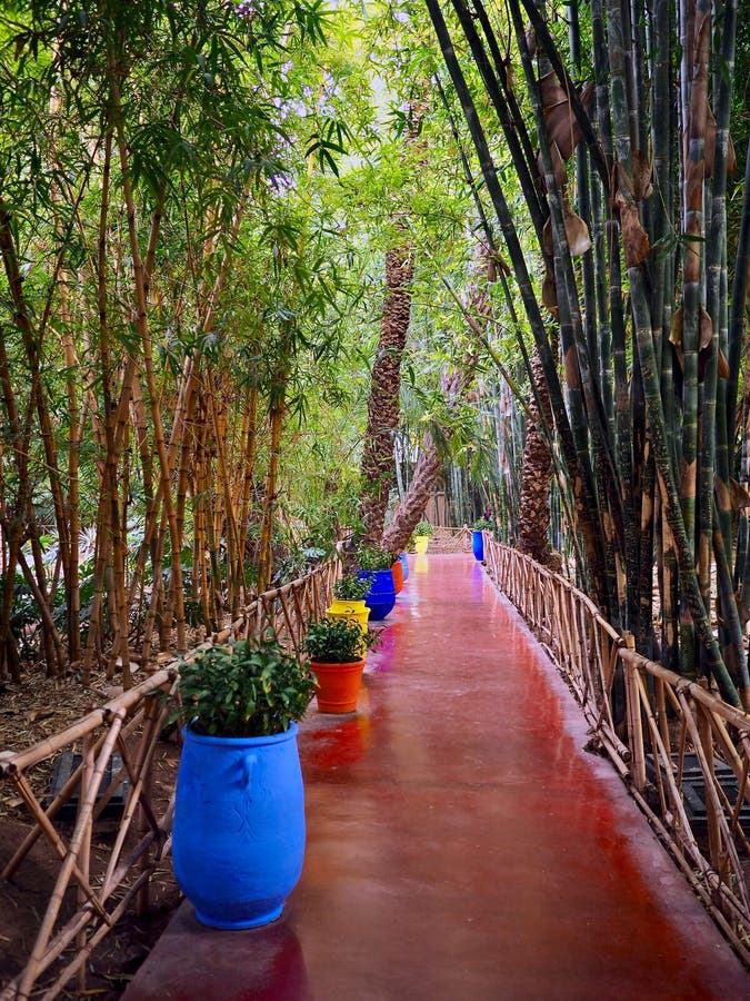 Red Pathway in the Jardin Majorelle in Marrakesh, with Green Trees in ...