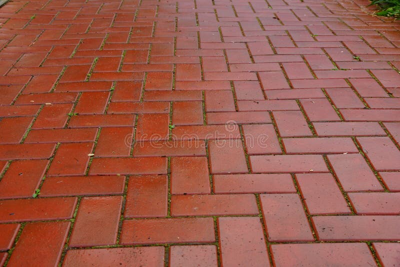 Red Paving Slabs after Rain Surface Abstract Stock Image - Image of ...