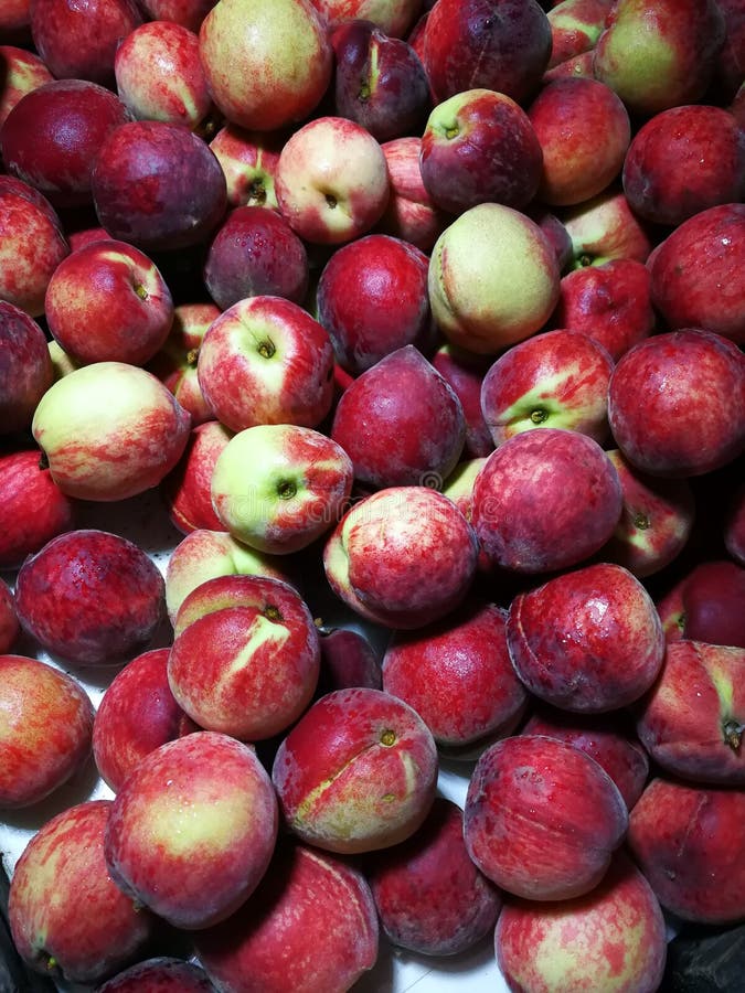 Red peaches stock photo. Image of flat, juicy, isolated - 93207948