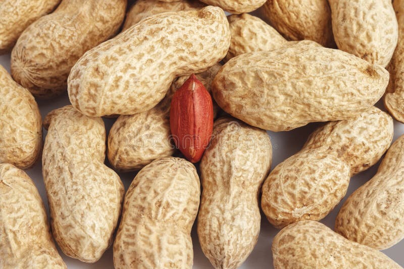 Red Peanut Kernel Closeup in Shells Stock Photo - Image of closed ...