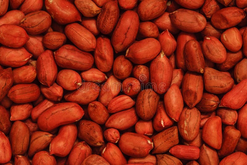 Dry red peanut stock photo. Image of natural, protein - 80395662