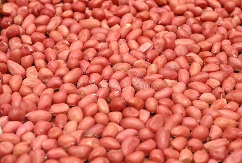 Red peanuts stock image. Image of fruits, nuts, detail - 12209795