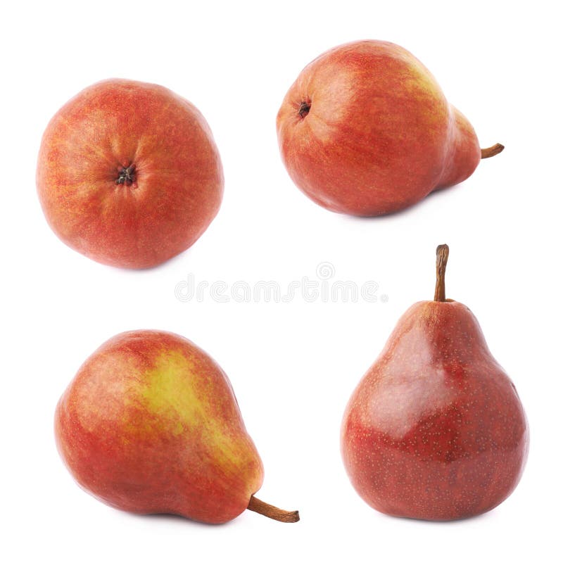 Red pear fruit isolated stock image. Image of closeup - 58213953