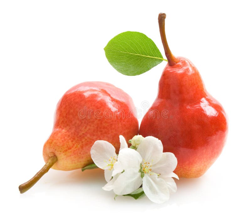 Red pears stock photo. Image of nutrition, isolated, summer - 14389666