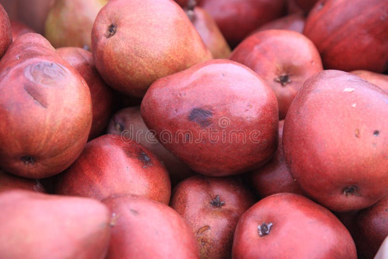 Red pears stock photo. Image of fruit, firm, pear, market - 14547372