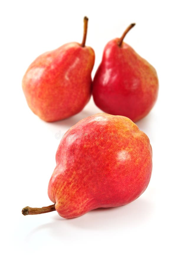 Red pears stock photo. Image of dessert, food, breakfast - 2270106