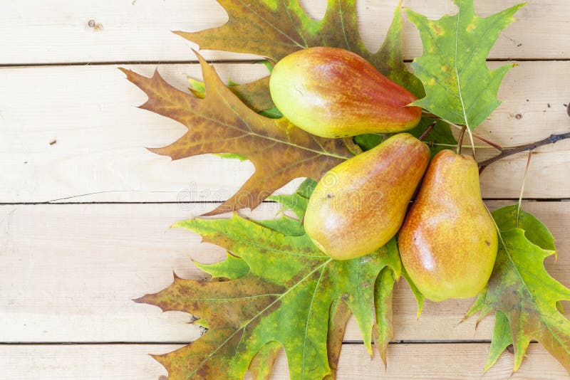 Red Pears and Autumn Yellow Maple Leaves on a Wooden Table, Close Up ...