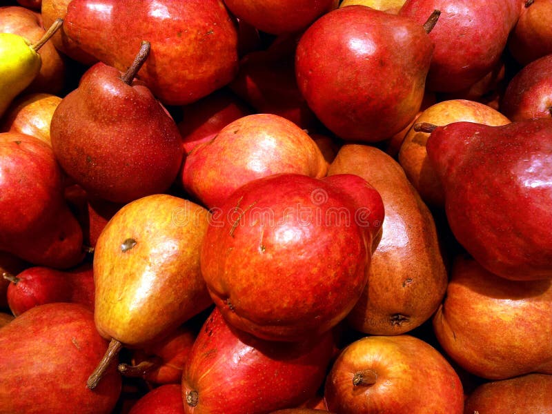 Red pears closeup stock photo. Image of closeup, close - 69897580