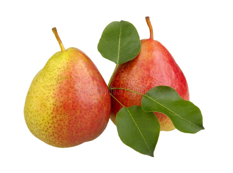 Red pears with leaves stock photo. Image of healthy, food - 25603206