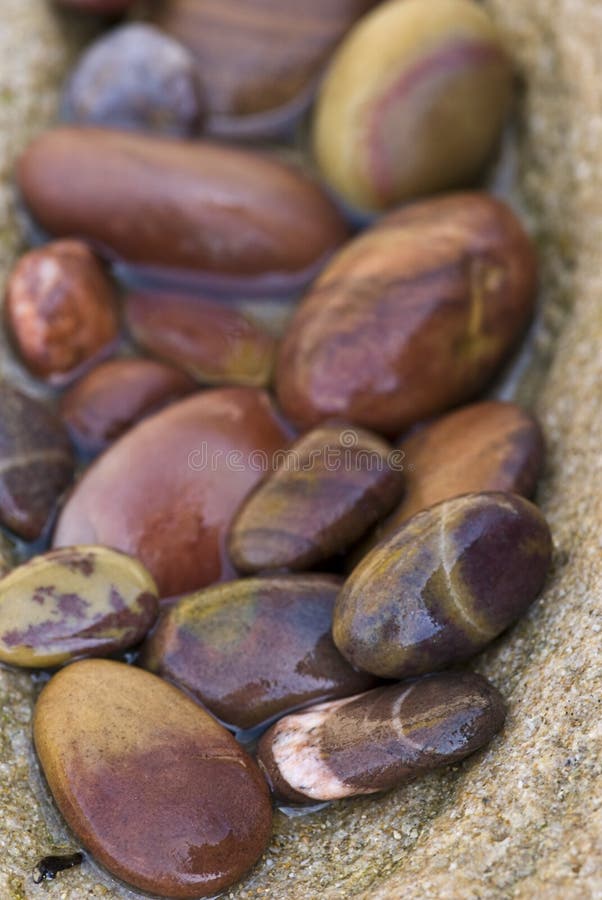 Red pebble stock photo. Image of colorful, nature, smooth - 14486330