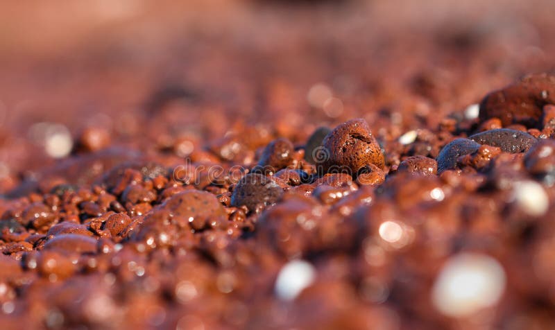 Red Pebbles stock photo. Image of shoreline, pebble, rabida - 37889160