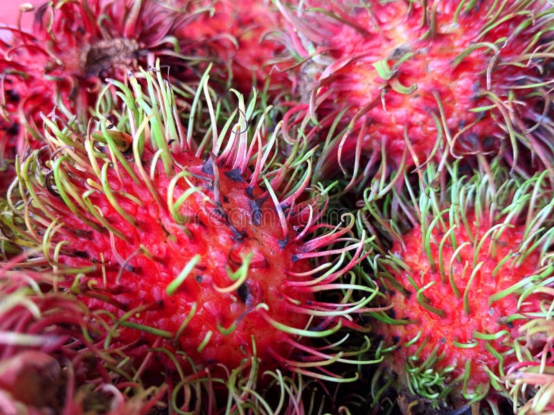 Red peel of rambutan stock image. Image of peel, texture - 129806961