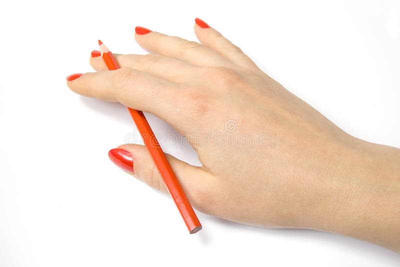 Woman s hand isolated stock photo. Image of agreement - 9261406