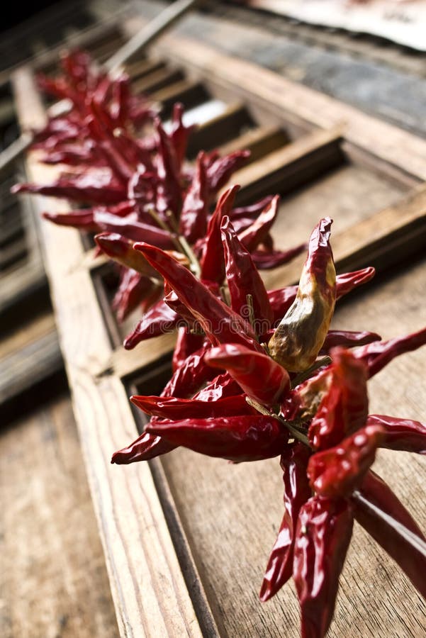 Red peper stock image. Image of village, winter, yard - 12634857