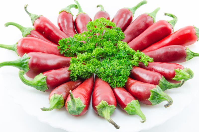 Red peper stock image. Image of fiery, burning, organic - 59034715
