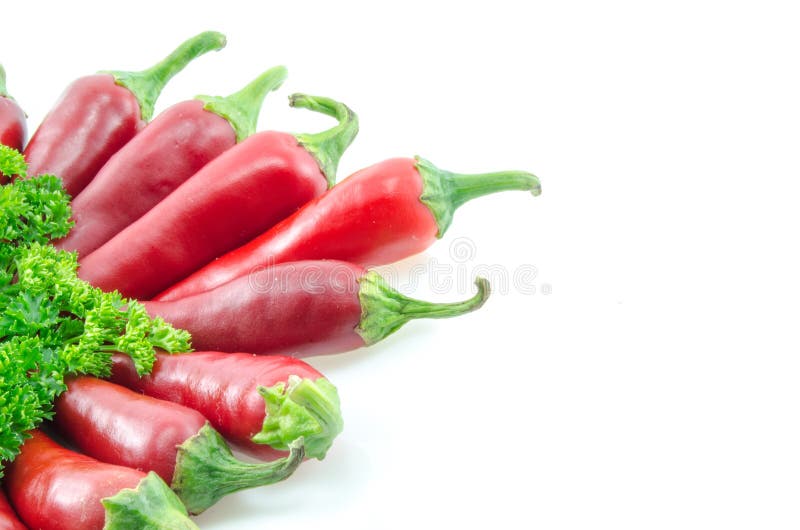 Red peper stock image. Image of burning, parsley, background - 59034729