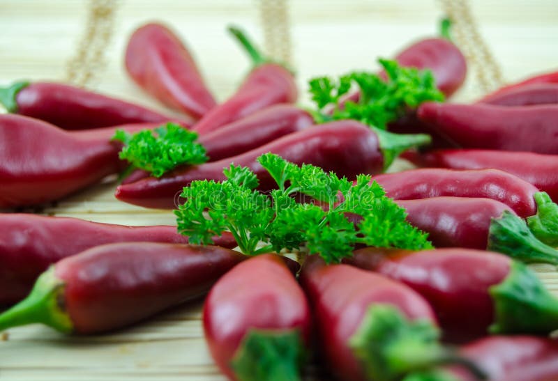 Red peper stock image. Image of parsley, single, sharp - 59035849
