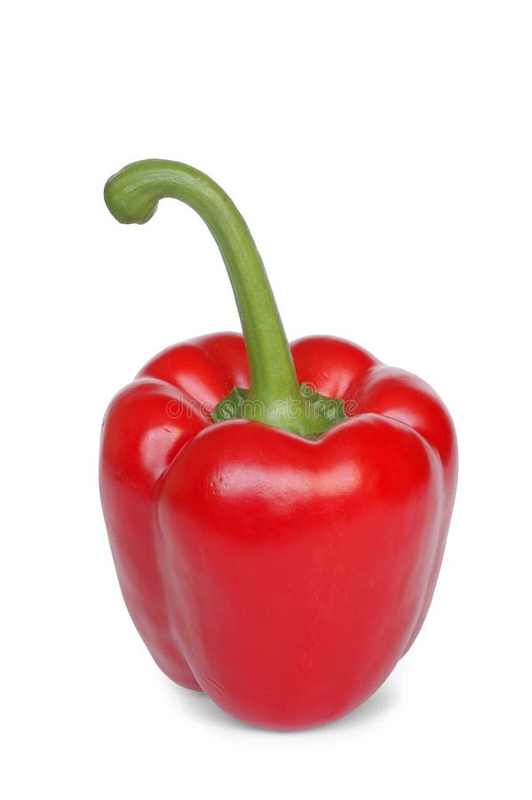 Red Pepper stock image. Image of kitchen, diet, food, nutrition - 198567