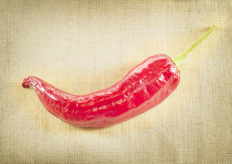 Red pepper stock photo. Image of chilly, food, bright - 21580908