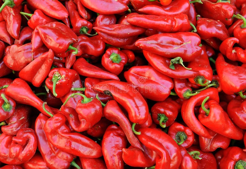 Vegetable - Red Bell Pepper Stock Photo - Image of grayscale, market ...